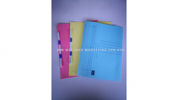 604 LION FSP FLAT FILE - Wellmax